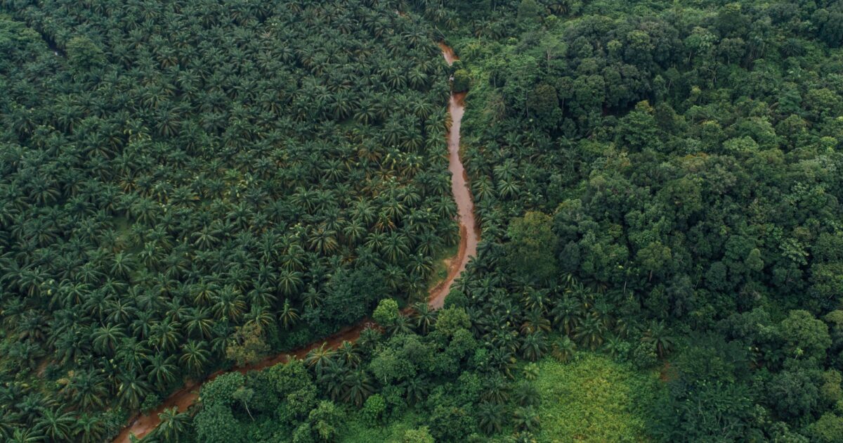 Apical dan Earthworm Foundation Bermitra dengan Pemerintah Kabupaten ...