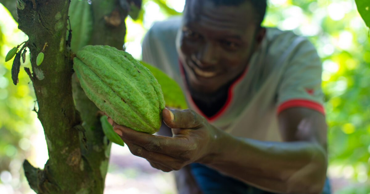 Press Release: Restoring forests and empowering communities in Côte d ...