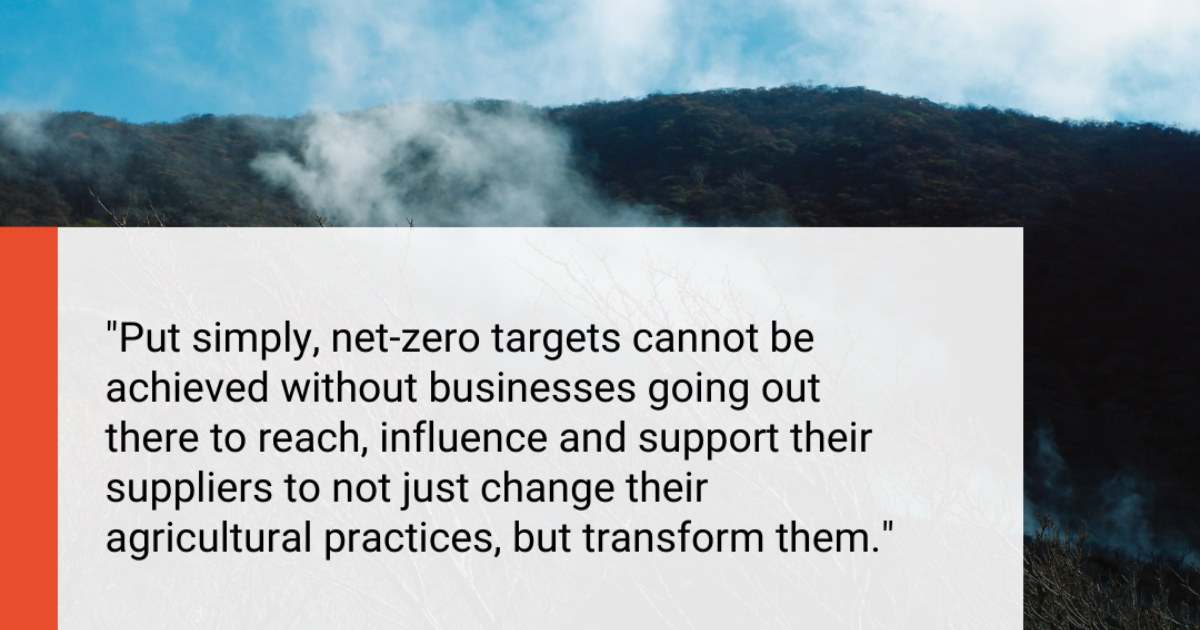 Why Net Zero action must tackle Scope 3 Emissions - Earthworm
