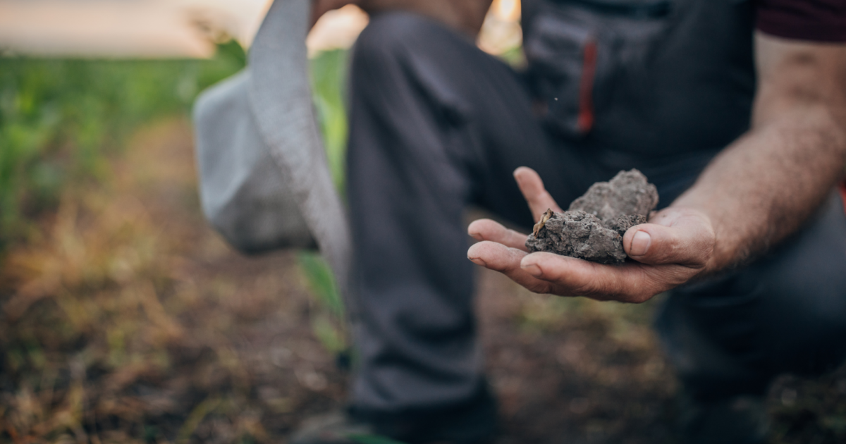 New Report Showcases Earthworm’s Soil Regeneration Projects - Earthworm